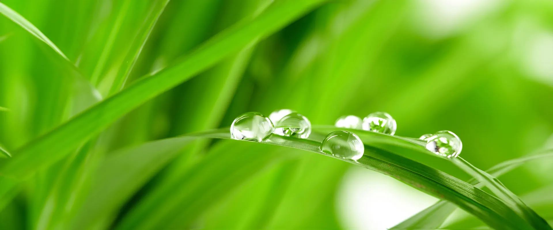 Unidyne XF - Hydrocarbon-based Water Repellency | Daikin Chemical Europe